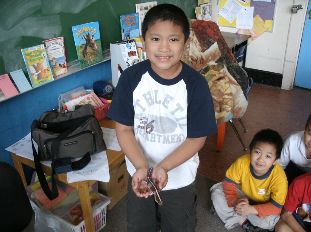 Educational Shows 2010