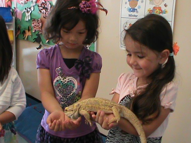 Education Shows 2013