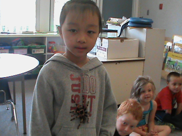 Educational Shows 2014